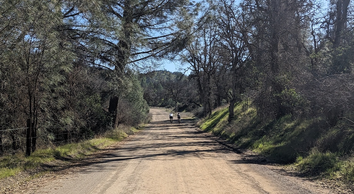 Grasshopper Adventure Series Huffmaster Gravel Guide - Gravel Bike ...